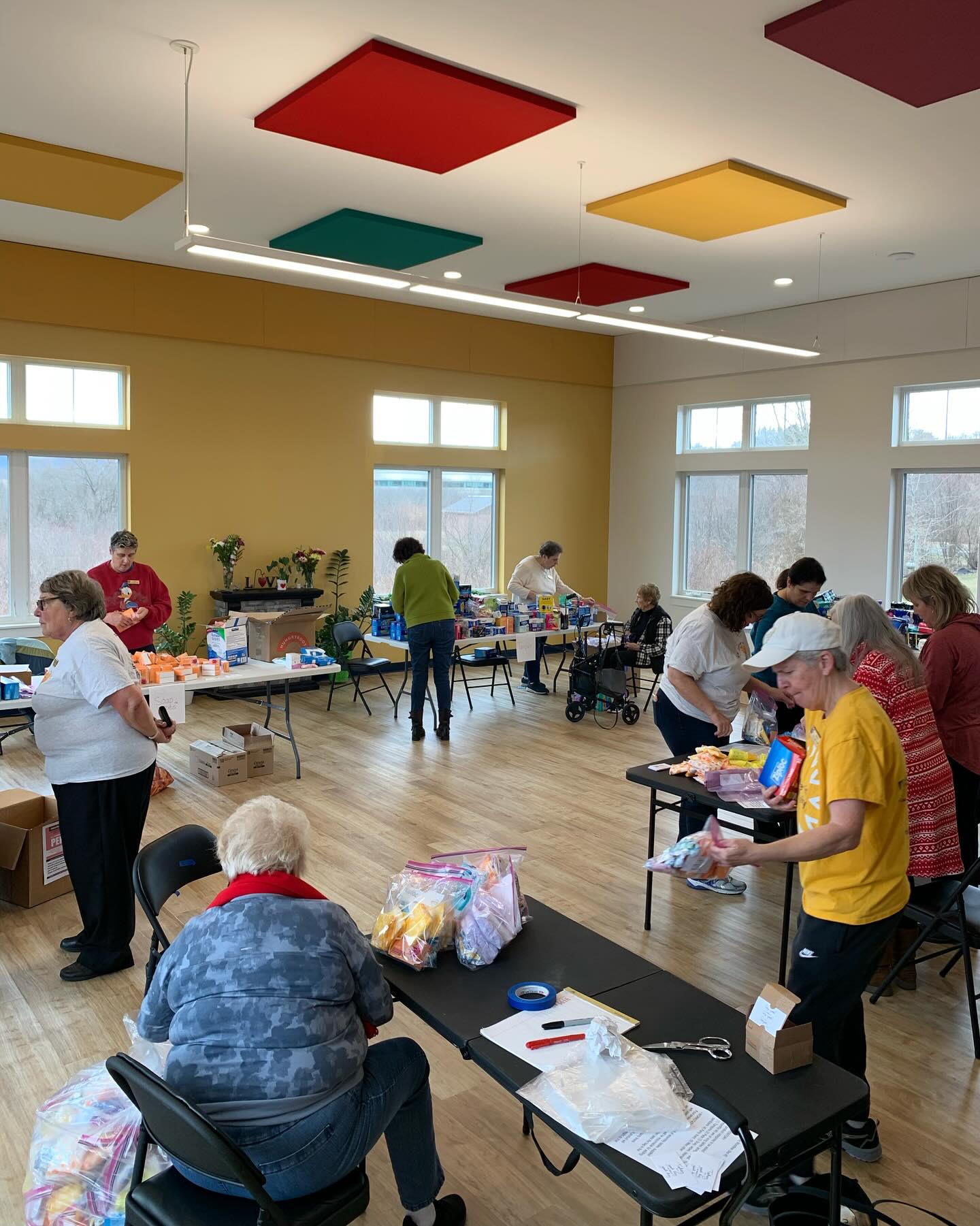 Club Service Projects - Zonta District 1